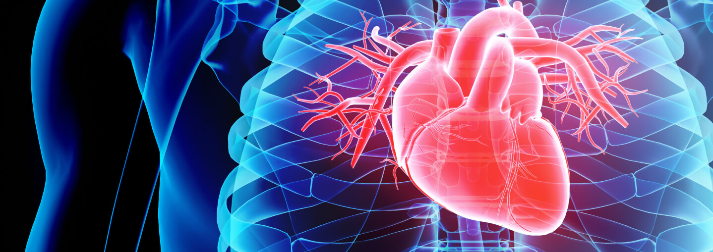 LifeGel™ Absorbable Hemostatic Gel